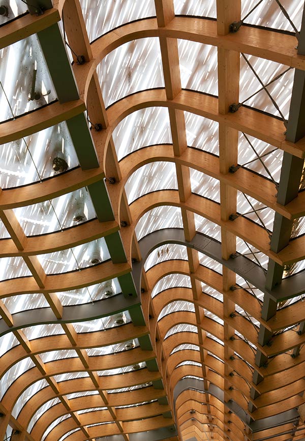 Construction - Container Conversions